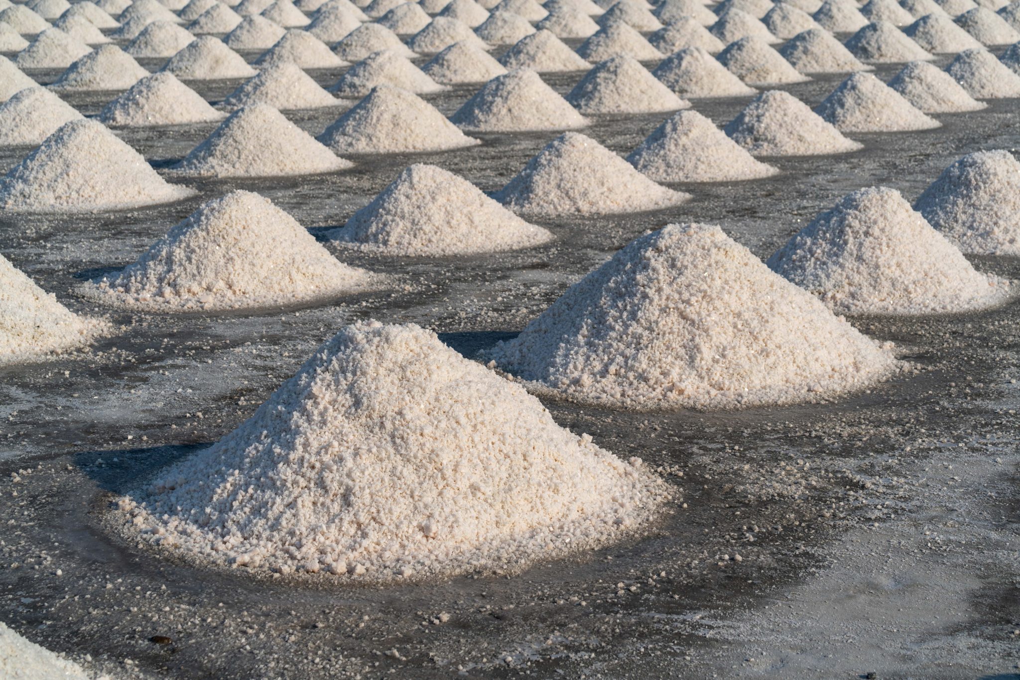 Salt Fortification – Sheetal Nutrition